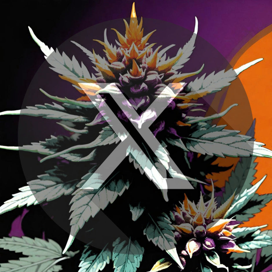BEANS/CLONES – GALACTIC BUDZ