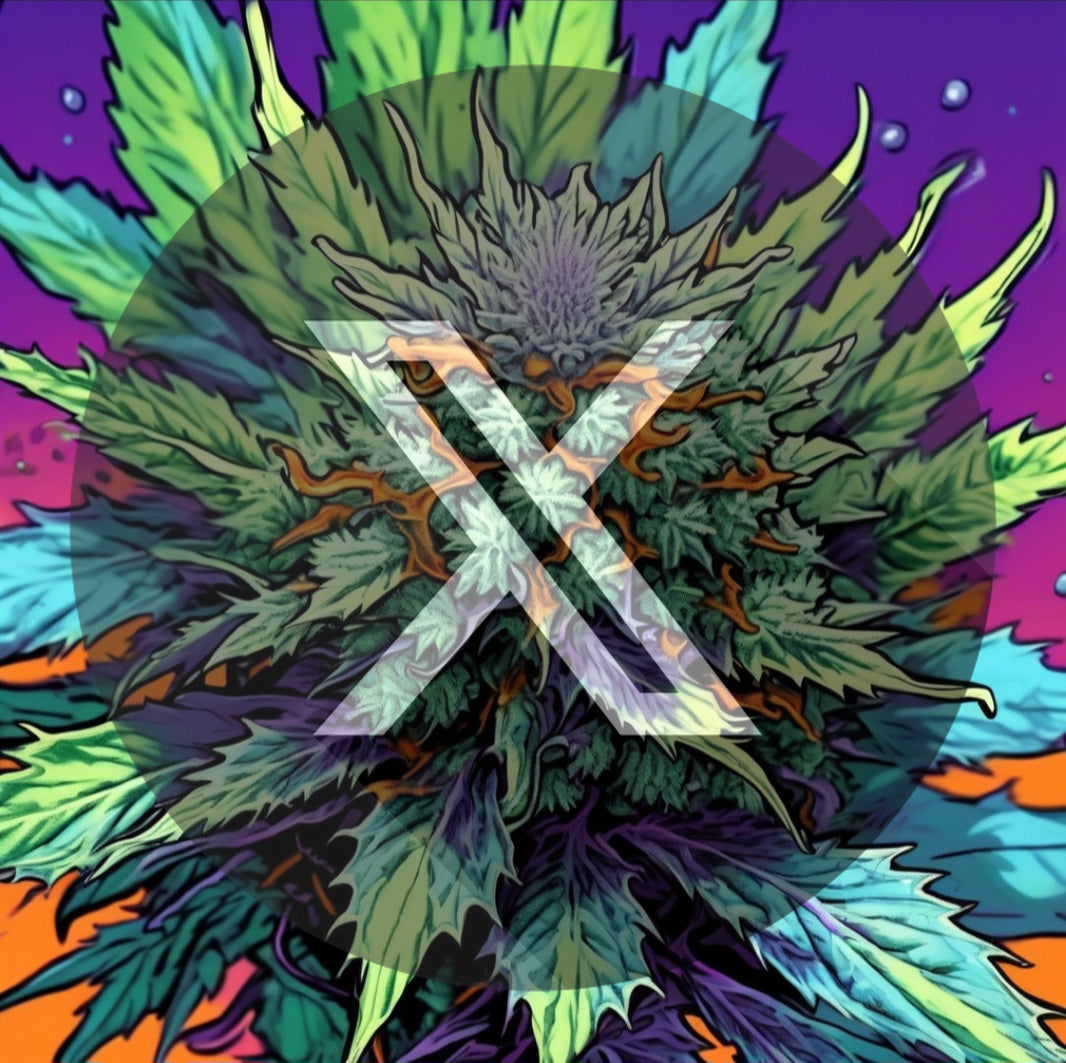 FLOWER – GALACTIC BUDZ